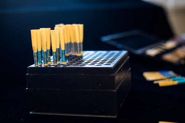 What Should the Finished Reed Sound Like? - Reeds by Holly